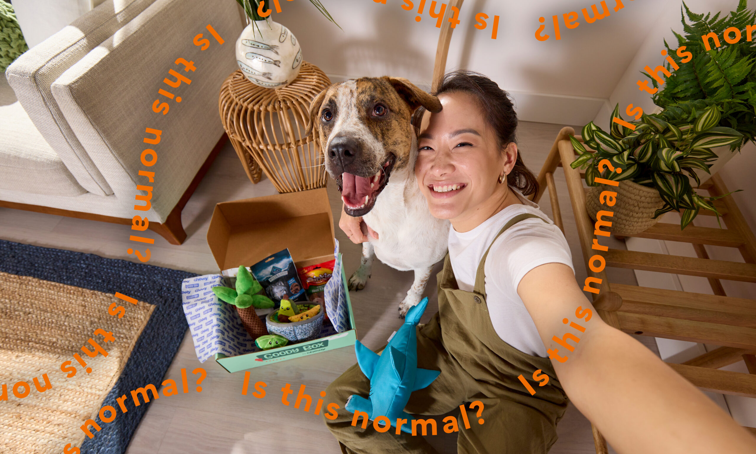 Why Do My Dog’s Eyes Look Weird in Photos? Is This Normal? | Chewy