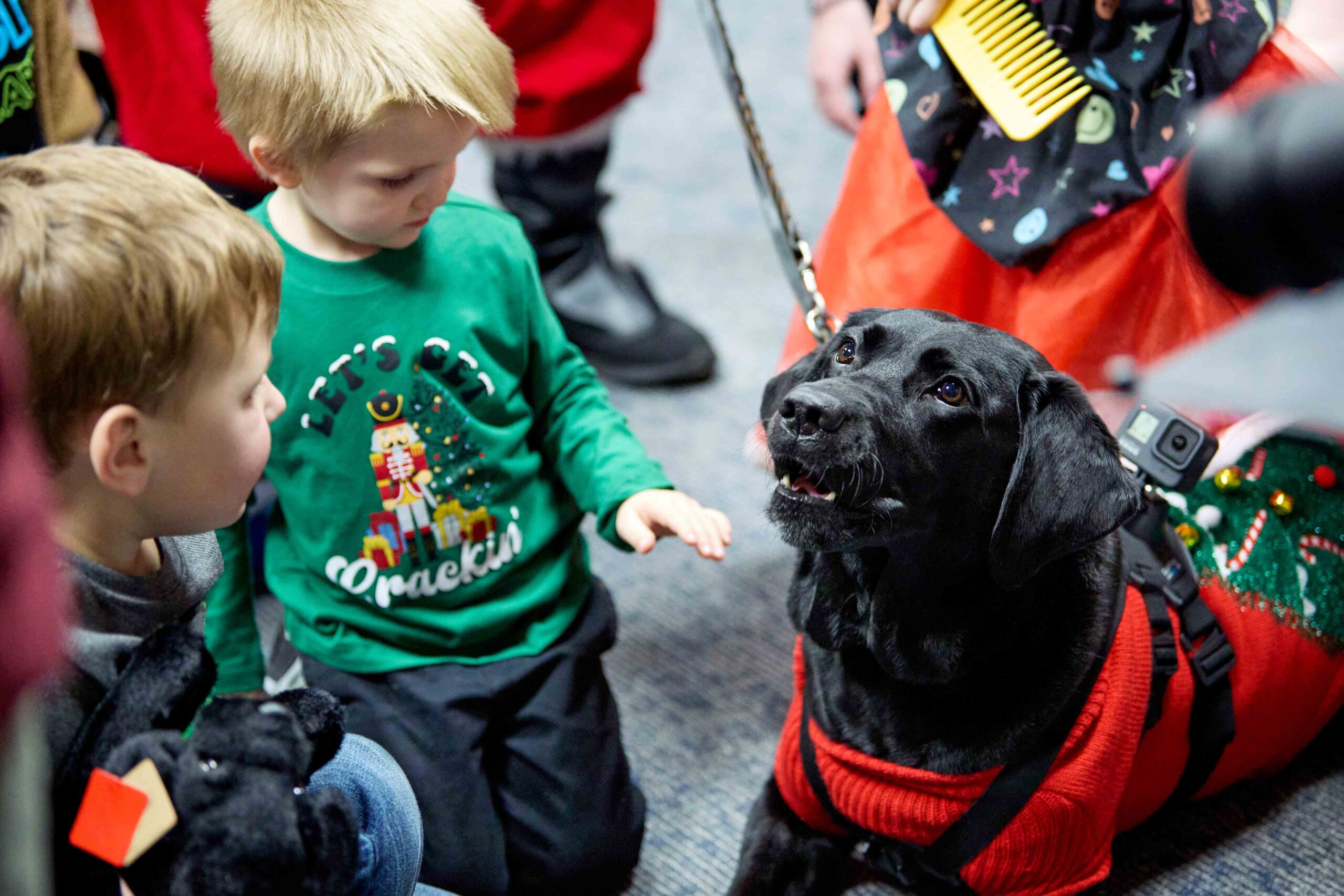 Chewy Claus's Greatest Gifts: Wishes Granted in 2023 | Chewy