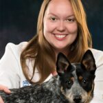 NSAID Toxicity in Cats | PetMD