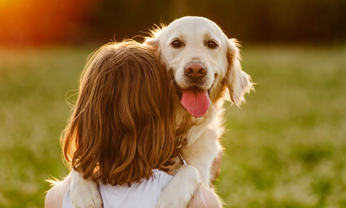 How to Find a Lost Dog | Chewy