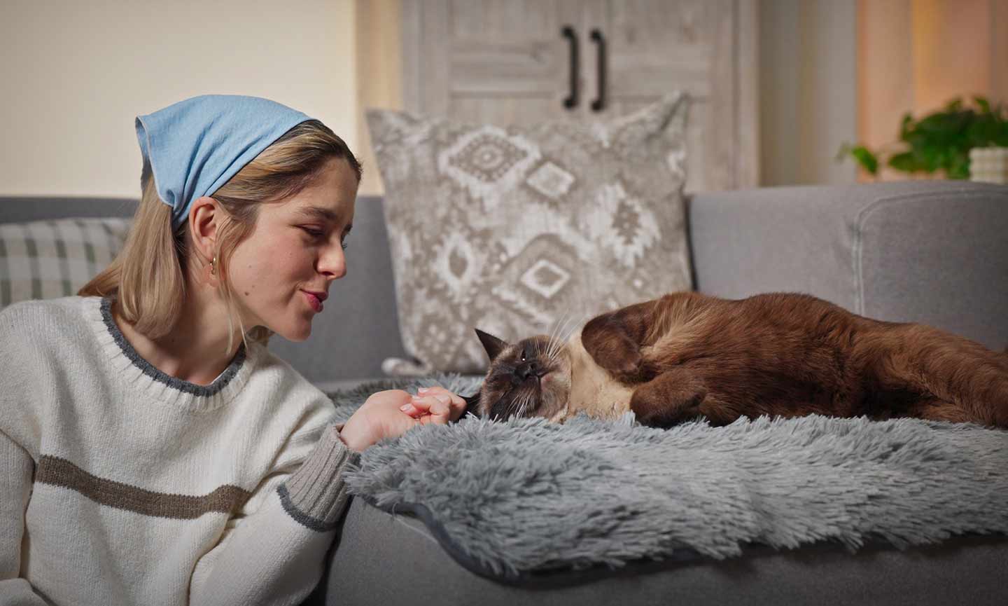 How To Get a Cat To Like You: 14 Ways That Work | Chewy