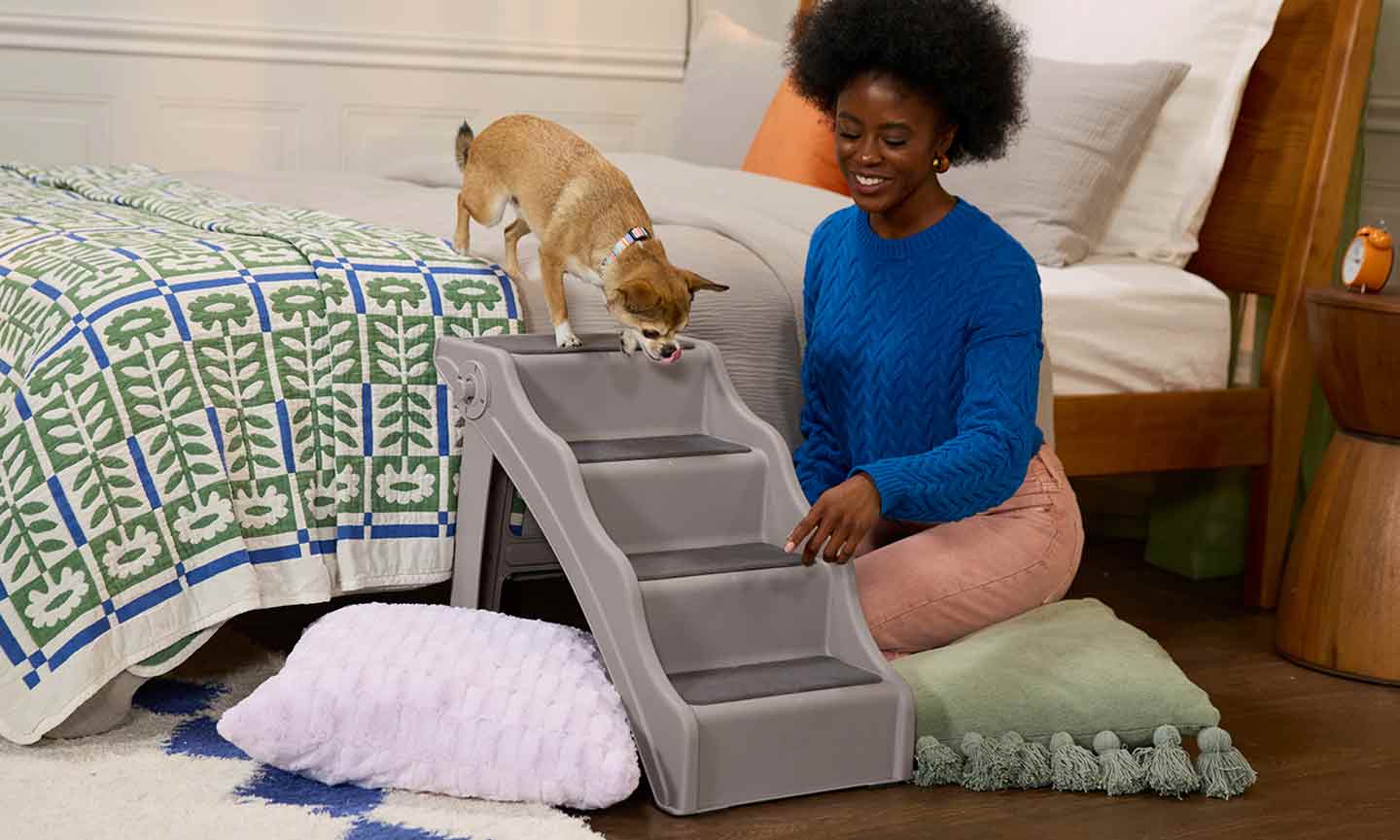 How to Train Your Dog to Use Pet Steps | Chewy