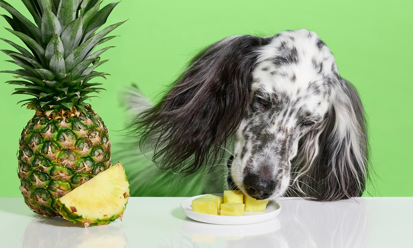 How Much Pineapple Can A Dog Eat | Detroit Chinatown