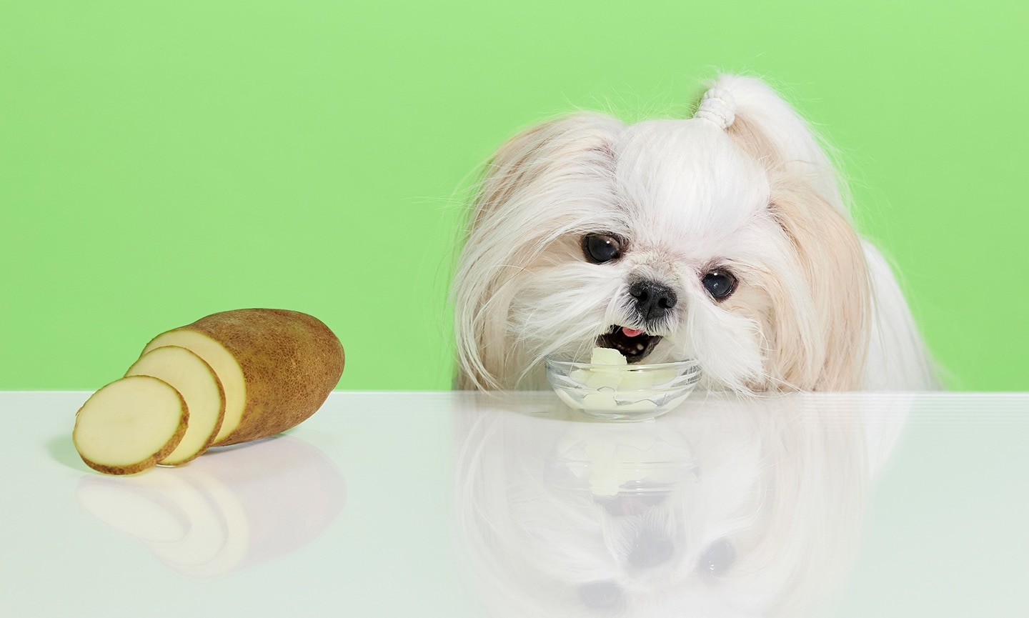 Can Dogs Eat Potatoes? | Chewy