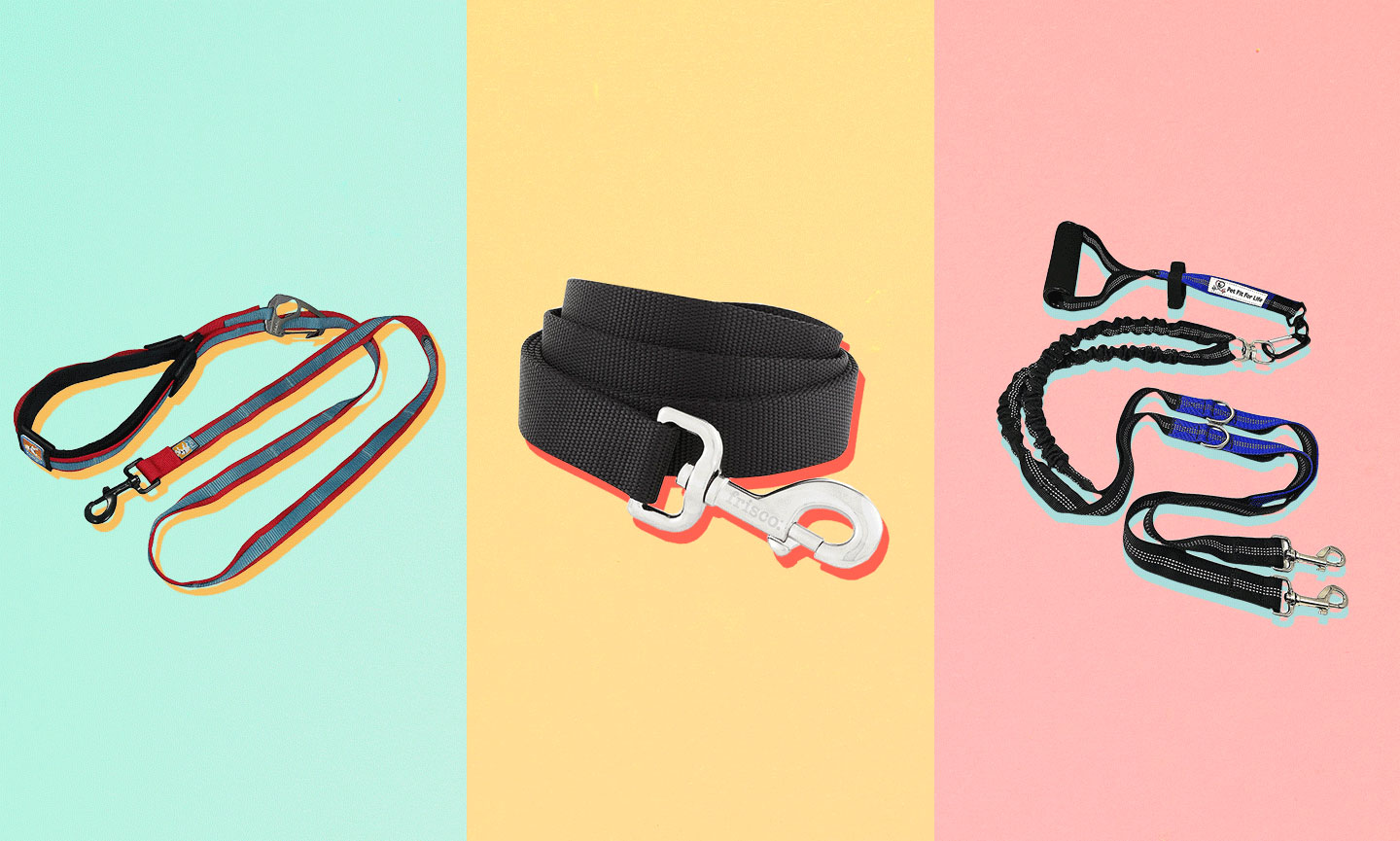 Buying Guide: How to Shop for the Best Dog Leash | Chewy