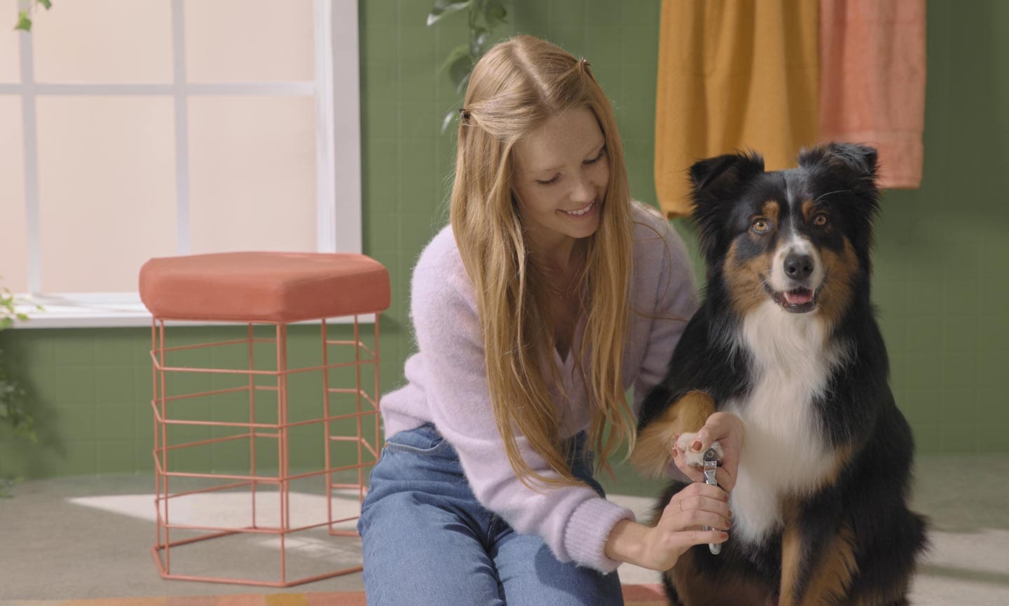 How To Cut a Dog’s Nails | Chewy