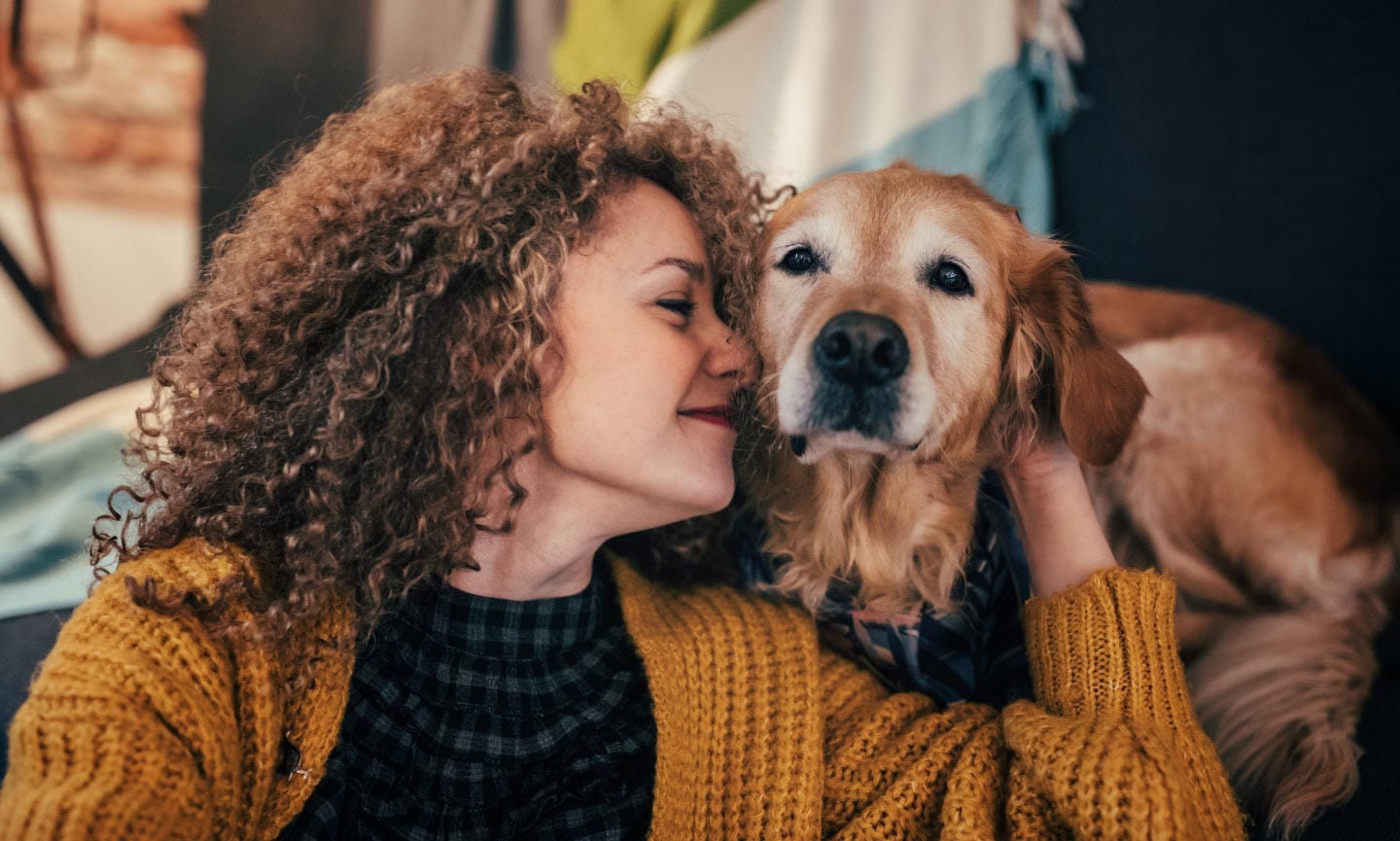 How Do You Foster a Dog? Here’s How to Become a Foster Dog Parent | Chewy