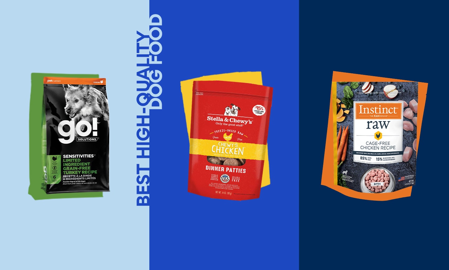 Buying Guide: How to Pick the Best High-Quality Dog Food for Your Pet ...
