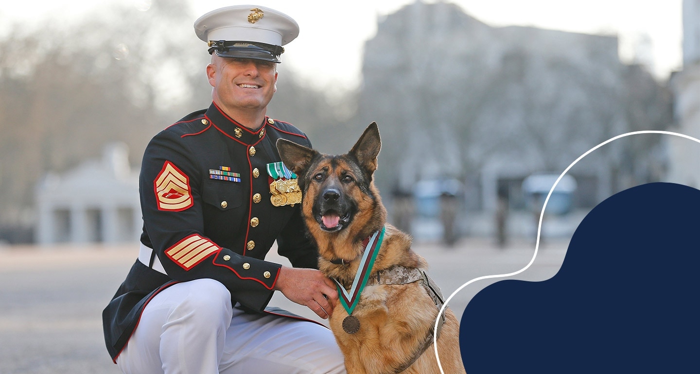 5 Military Working Dogs Worthy of Your Salute This Memorial Day | Chewy
