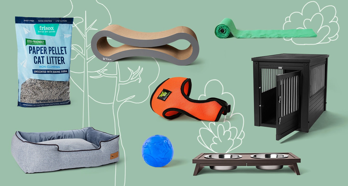 Sustainable Pet Products for Every Room in Your Home | Chewy