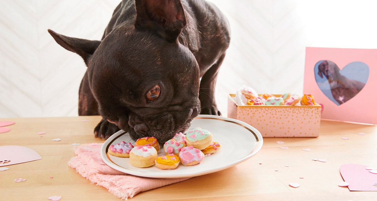 Valentine’s Day DIY Dog Treats: Conversation Hearts Dog Treat Recipe ...