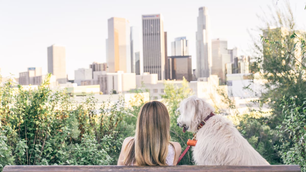 Why You Should Vacation With Your Dog in Los Angeles, California | Chewy
