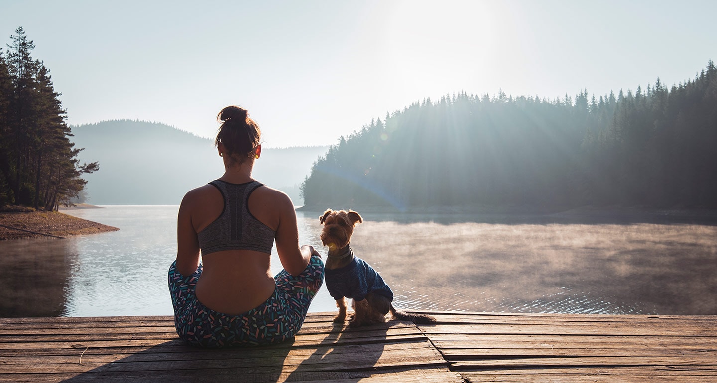 Canine Meditation: Stress Management for Dogs | Chewy