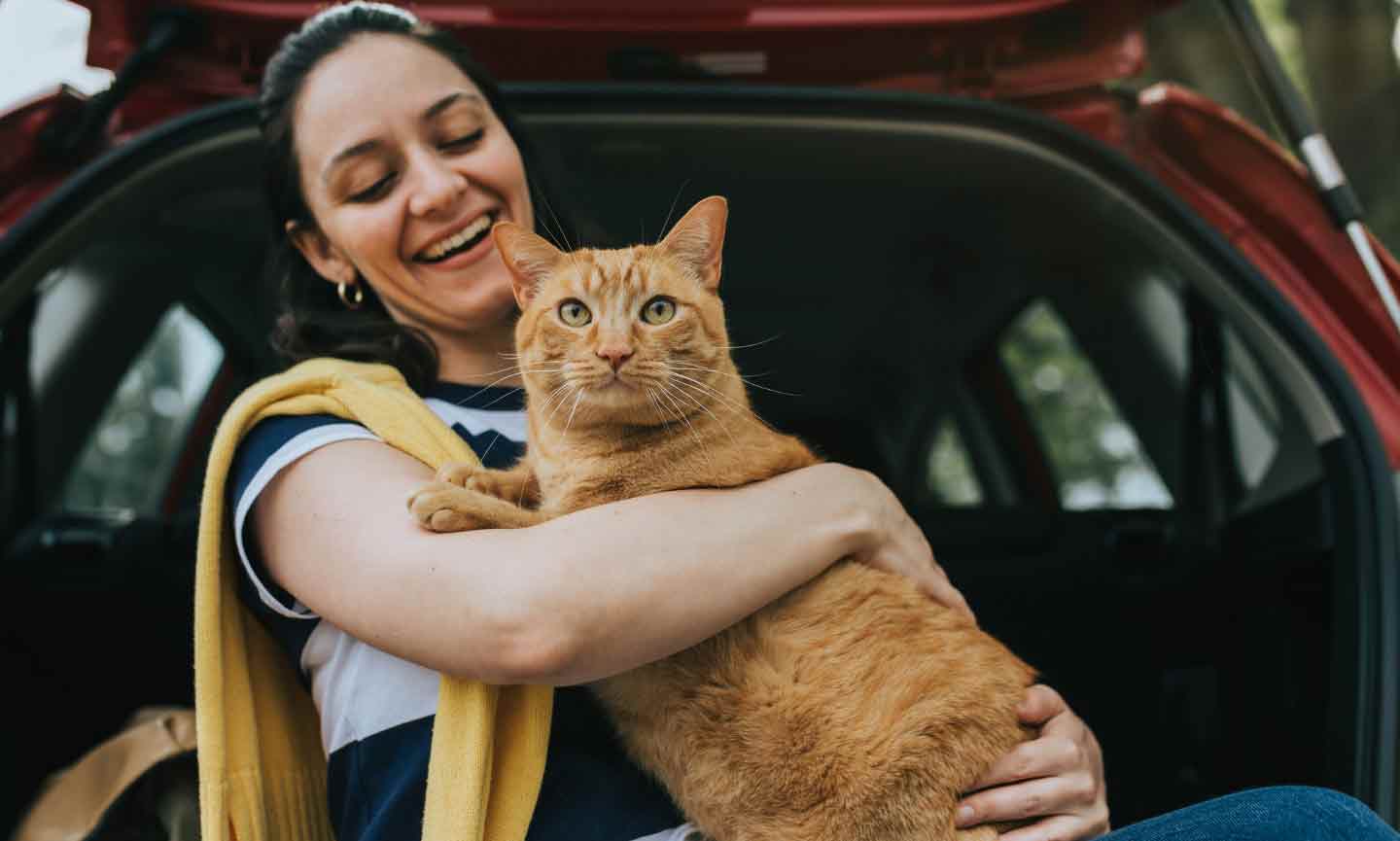 5 Tips To Convince Your Cat Not To Hate Car Rides (And Carriers) | Chewy