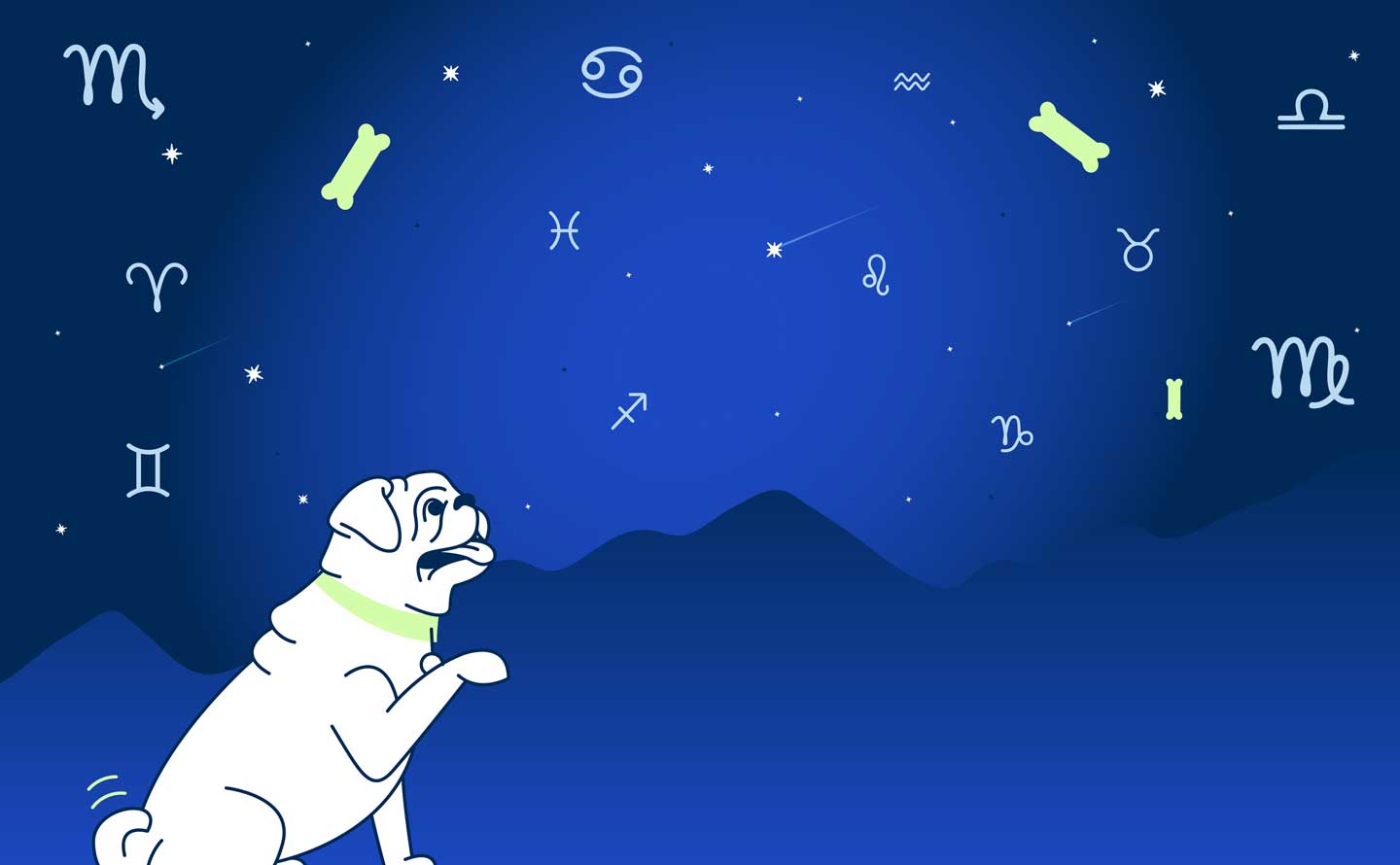 Dog Zodiac Signs: Pet Personalities and Horoscopes | Chewy