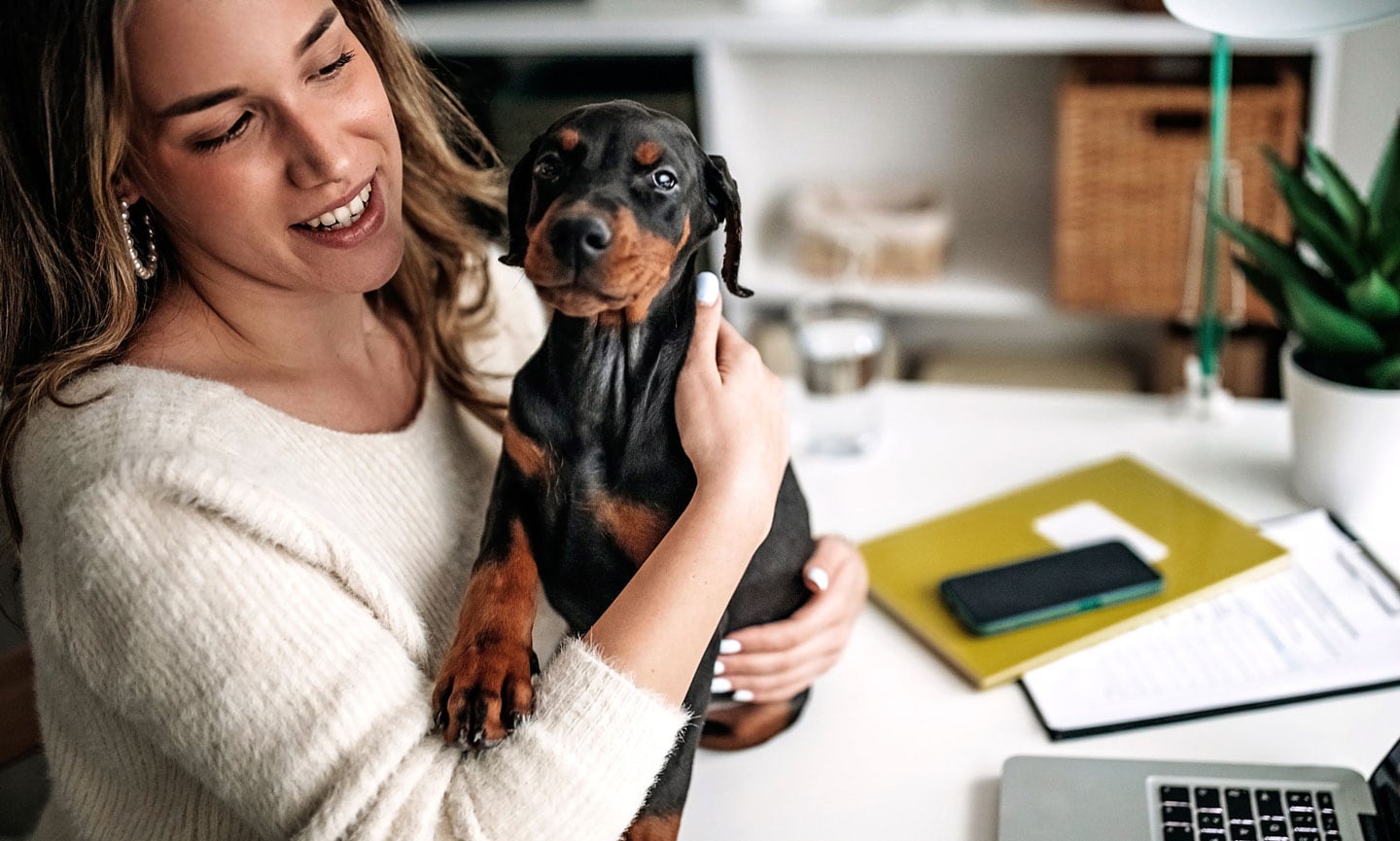 Pet Trusts: What They Are and How They Work | Chewy