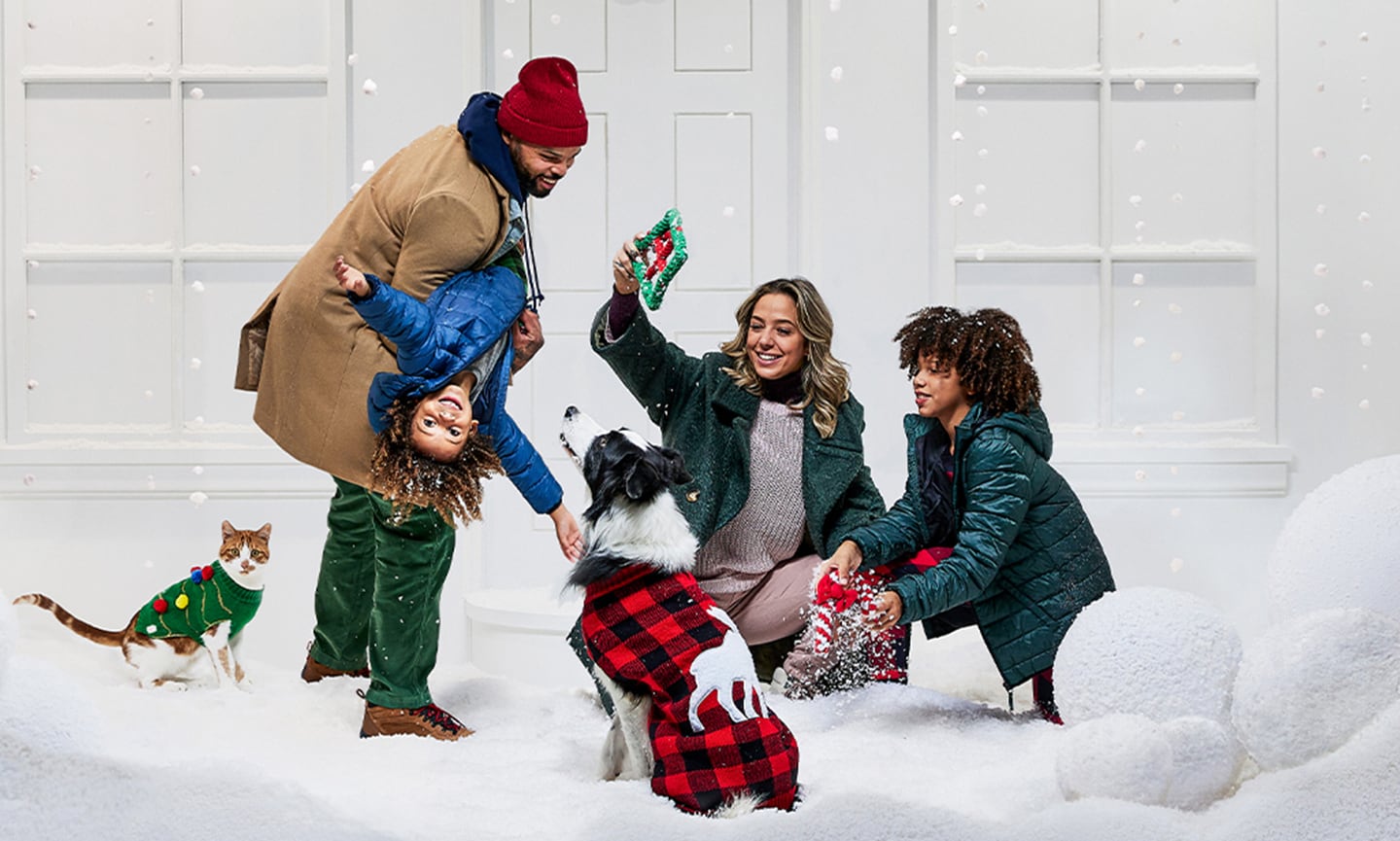 12 Ways to Celebrate Christmas With Your Pets | Chewy