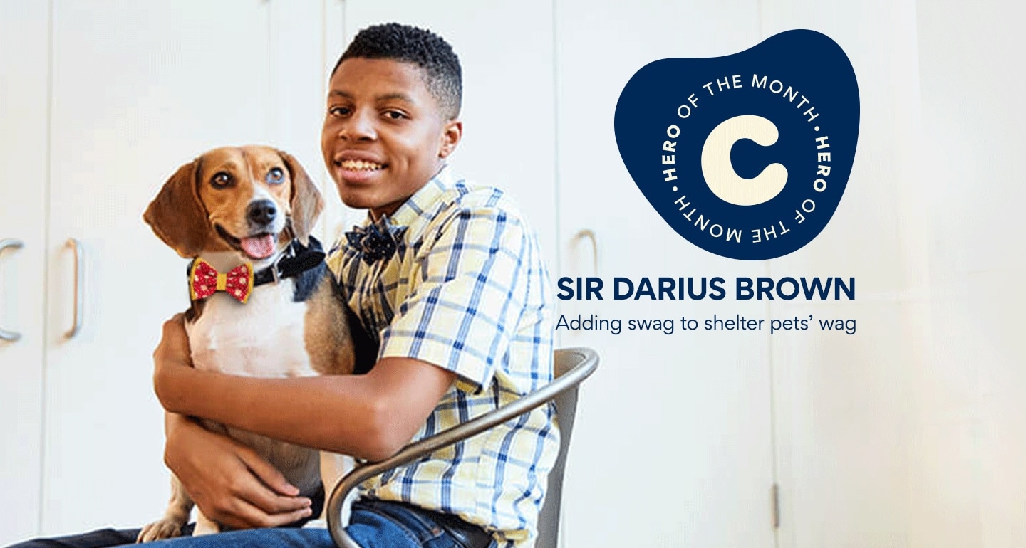 Sir Darius Brown’s Bow Ties Are Saving the Lives of Shelter Pets Across ...
