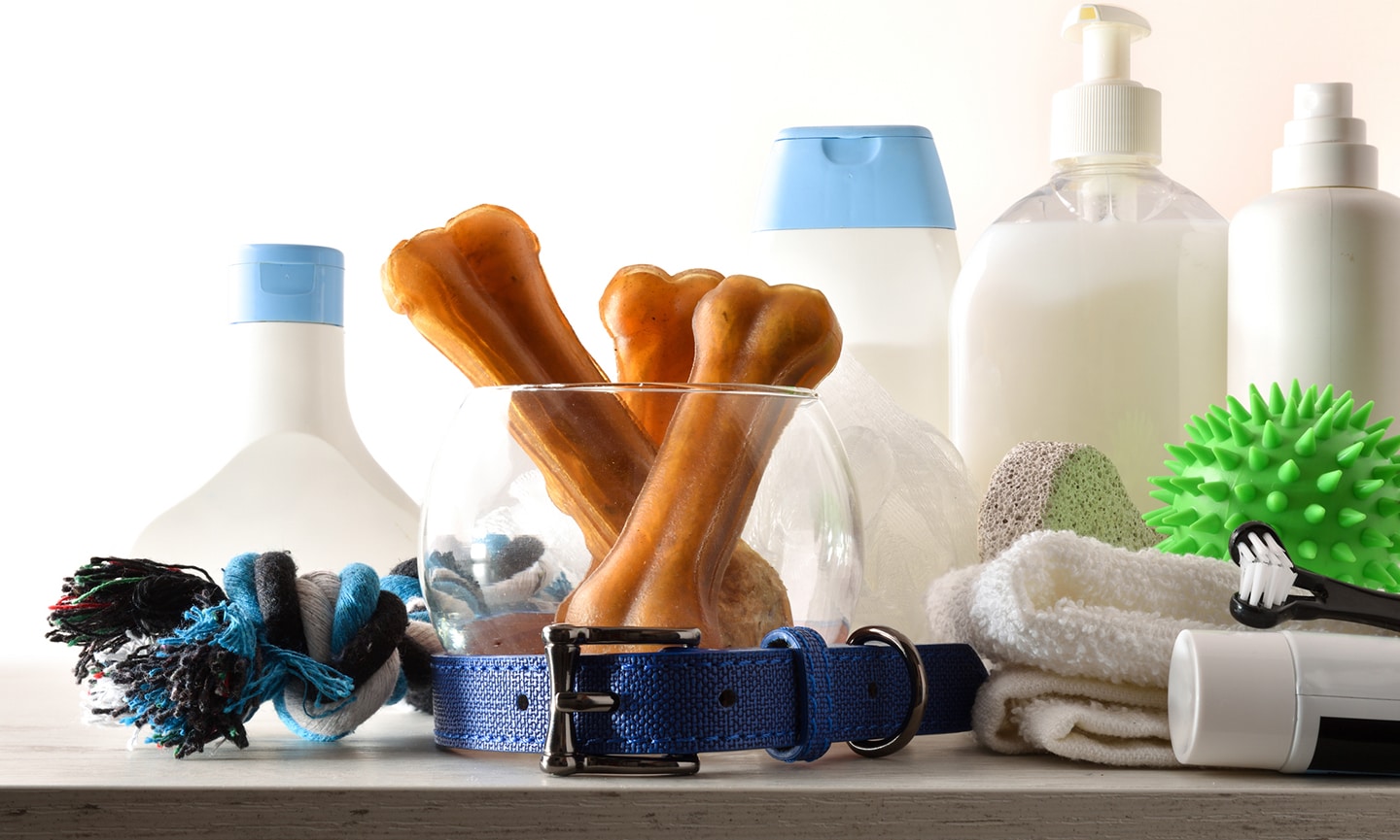 Ultimate New Puppy and Dog Product Checklist | Chewy