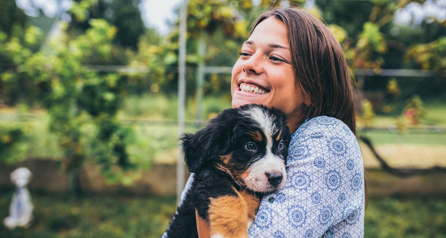 Dog Adoption Checklist: Everything New Dog Parents Need to Know | Chewy
