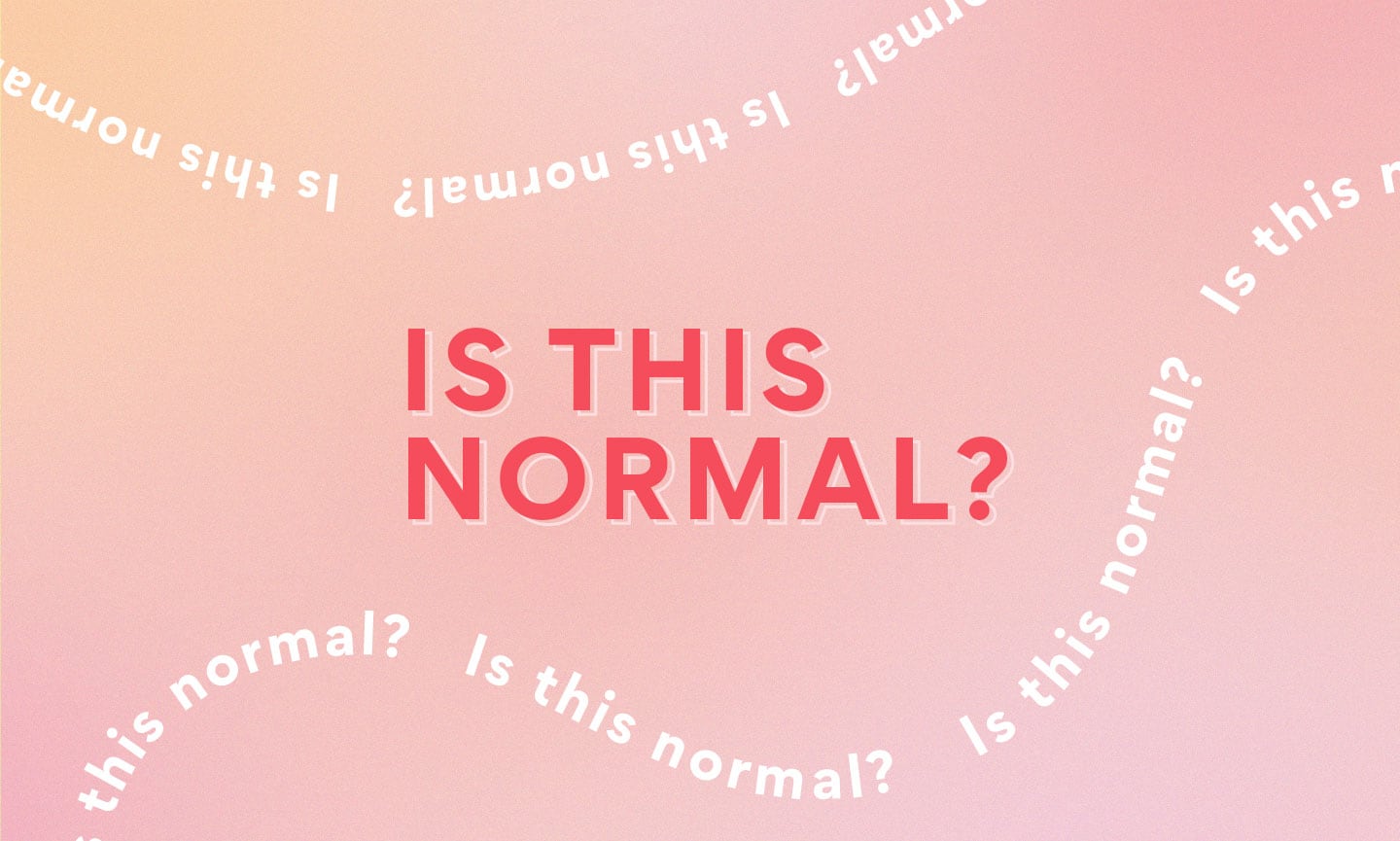 Why Do Rabbits Binky? Rabbit Binkying Explained | Chewy