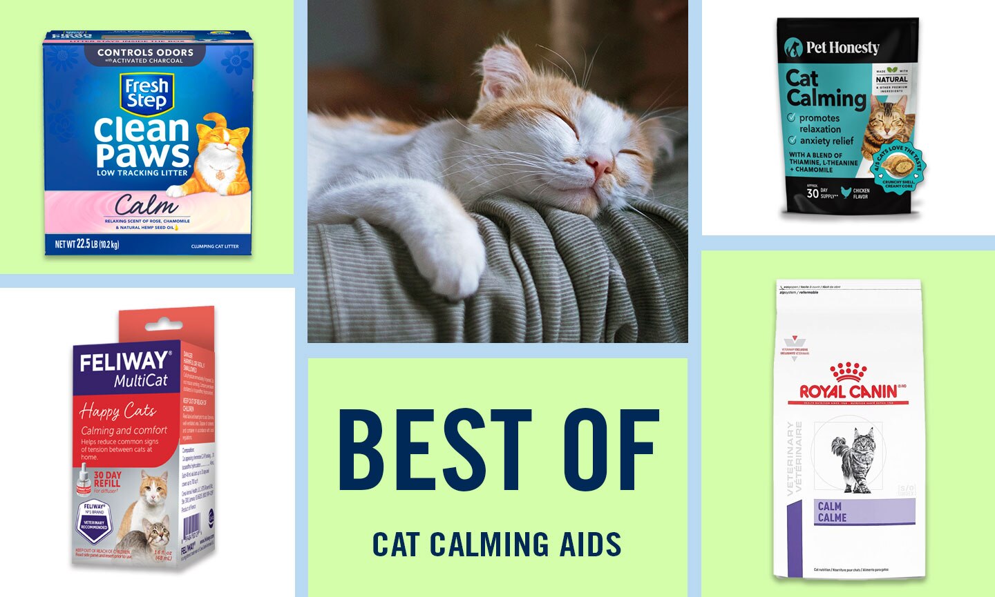 7 Best Cat Calming Aids, According to Cat Parents | Chewy