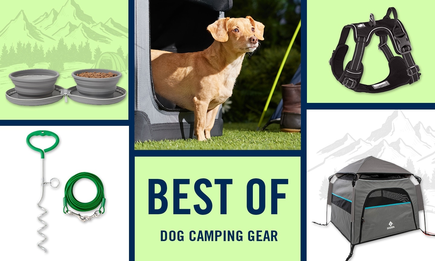 Best Dog Camping Gear: 12 Essentials for Camping With Dogs | Chewy