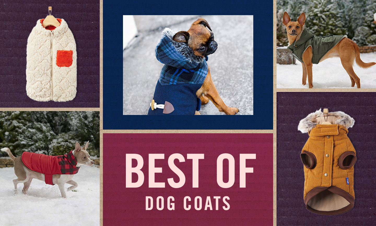 13 Best Dog Coats, According to Chewy Editors | Chewy