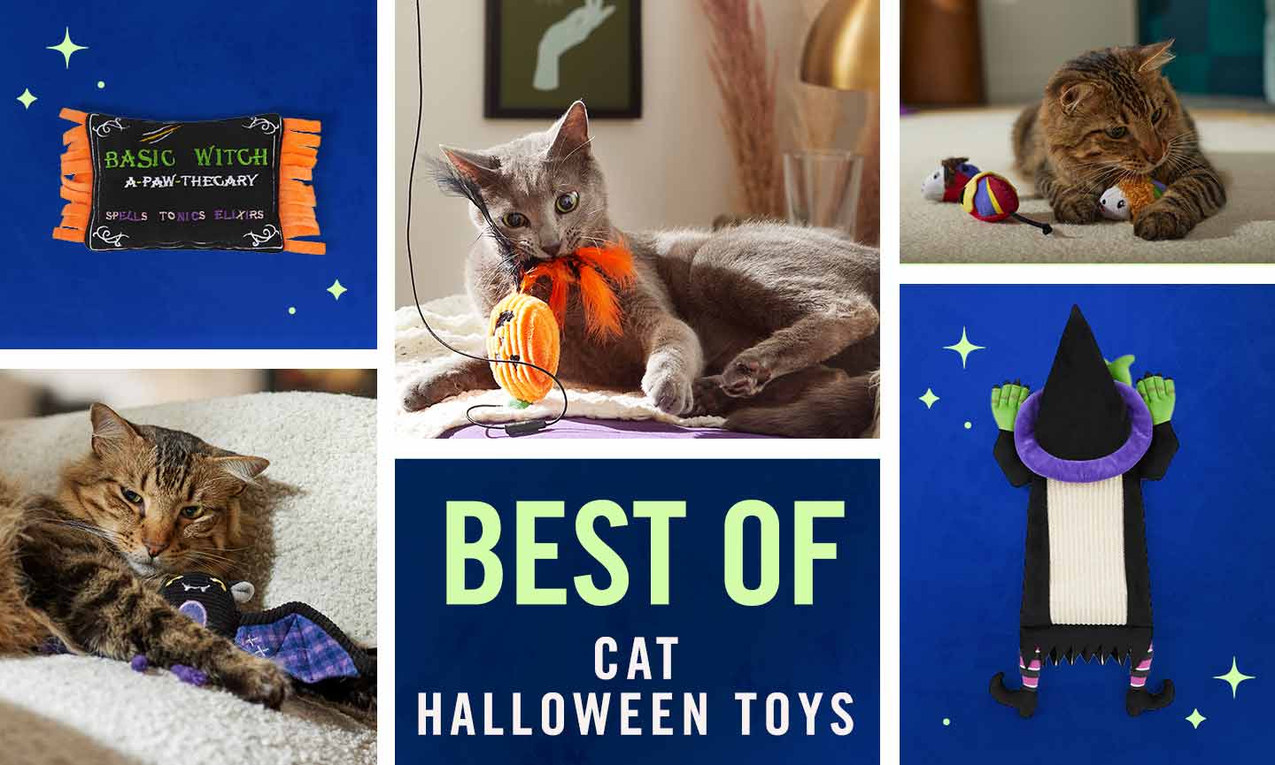 Best Cat Halloween Toys for a Spooktacular Season | Chewy
