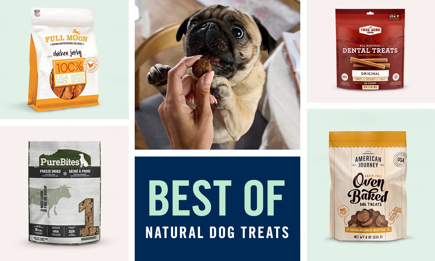 The Best Natural Dog Treats, According to Chewy Customers | Chewy