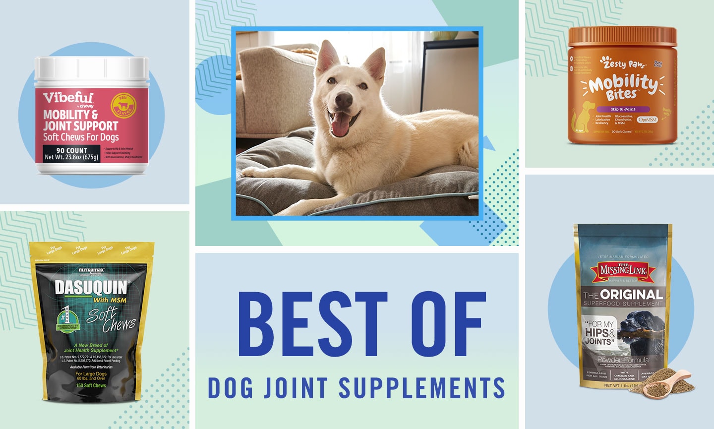 Best Joint Supplements for Dogs, As Rated By Chewy Customers | Chewy