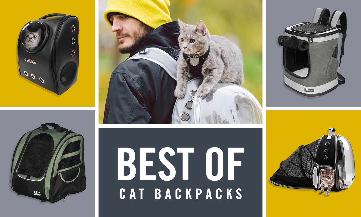 The Best Cat Backpacks, As Rated By Cat Owners | Chewy
