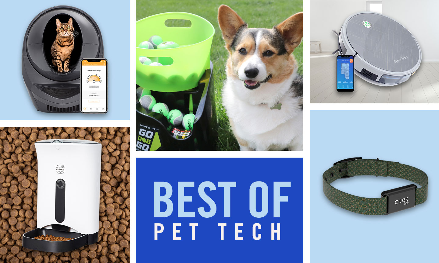 Best Pet Tech 2022: High-Tech Pet Gadgets & Smart Devices | Chewy