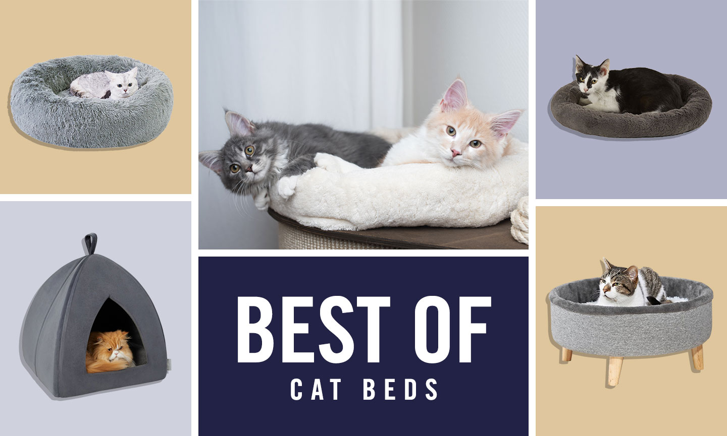 The Best Cat Beds, According to Chewy Cat Parents | Chewy