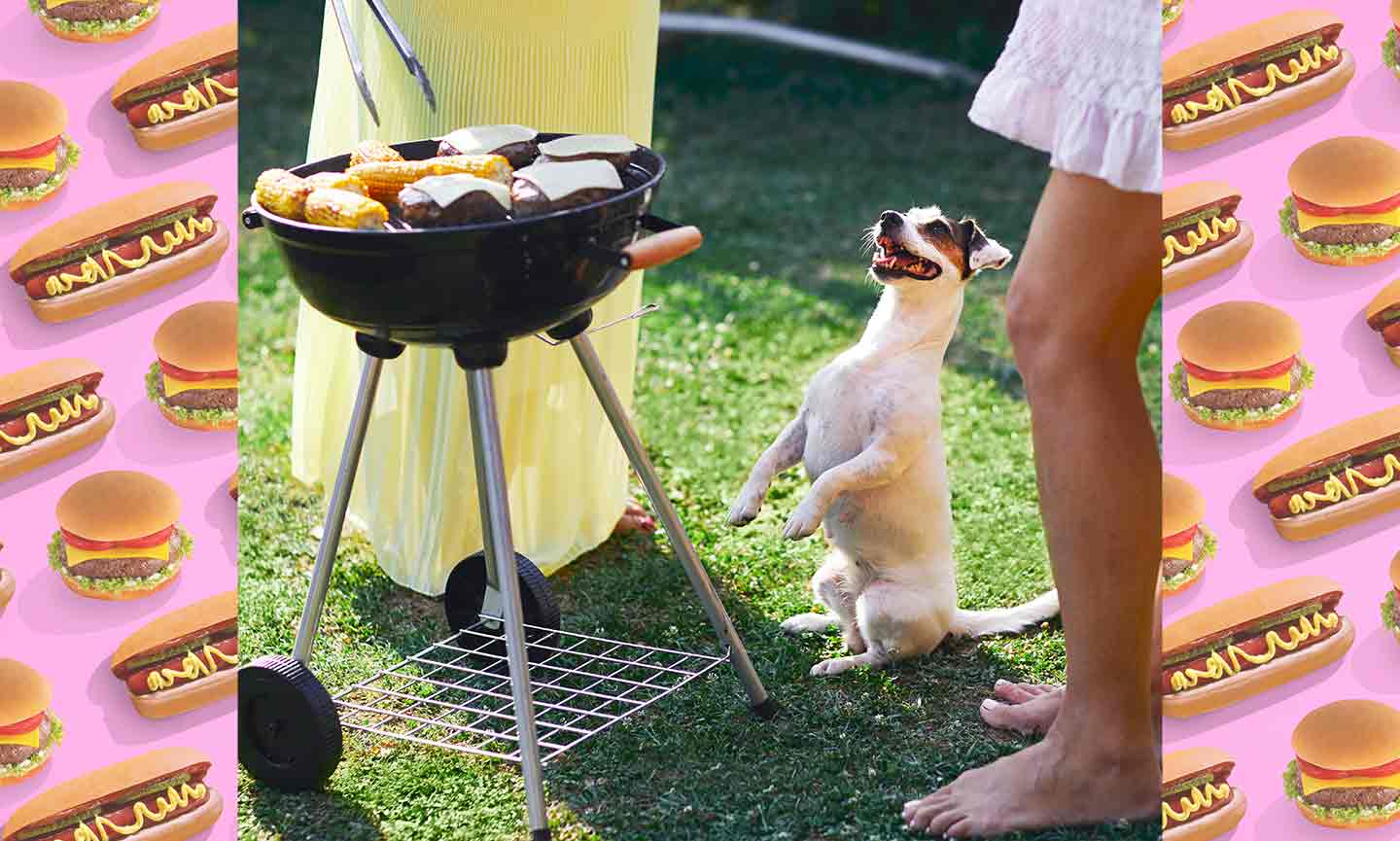 BBQ Safety Tips to Keep Pets Safe This Grilling Season | Chewy