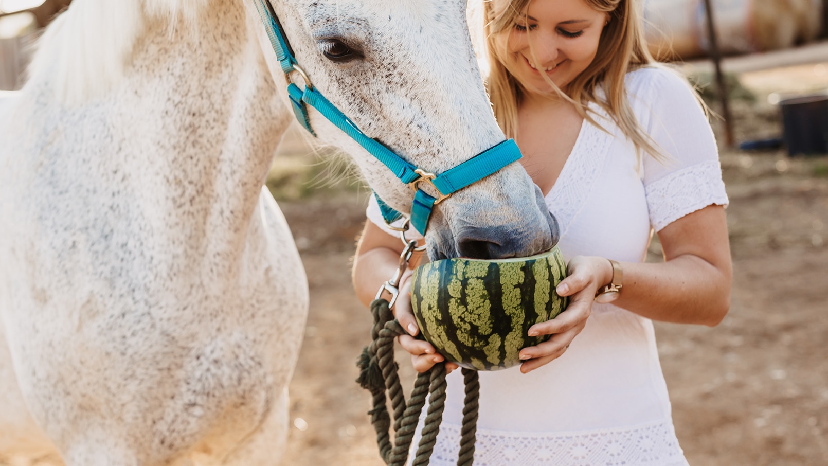 Can Horses Eat Watermelon? | Chewy