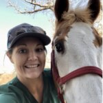 What Is a Horse Health Certificate? | [site:name] | PetMD