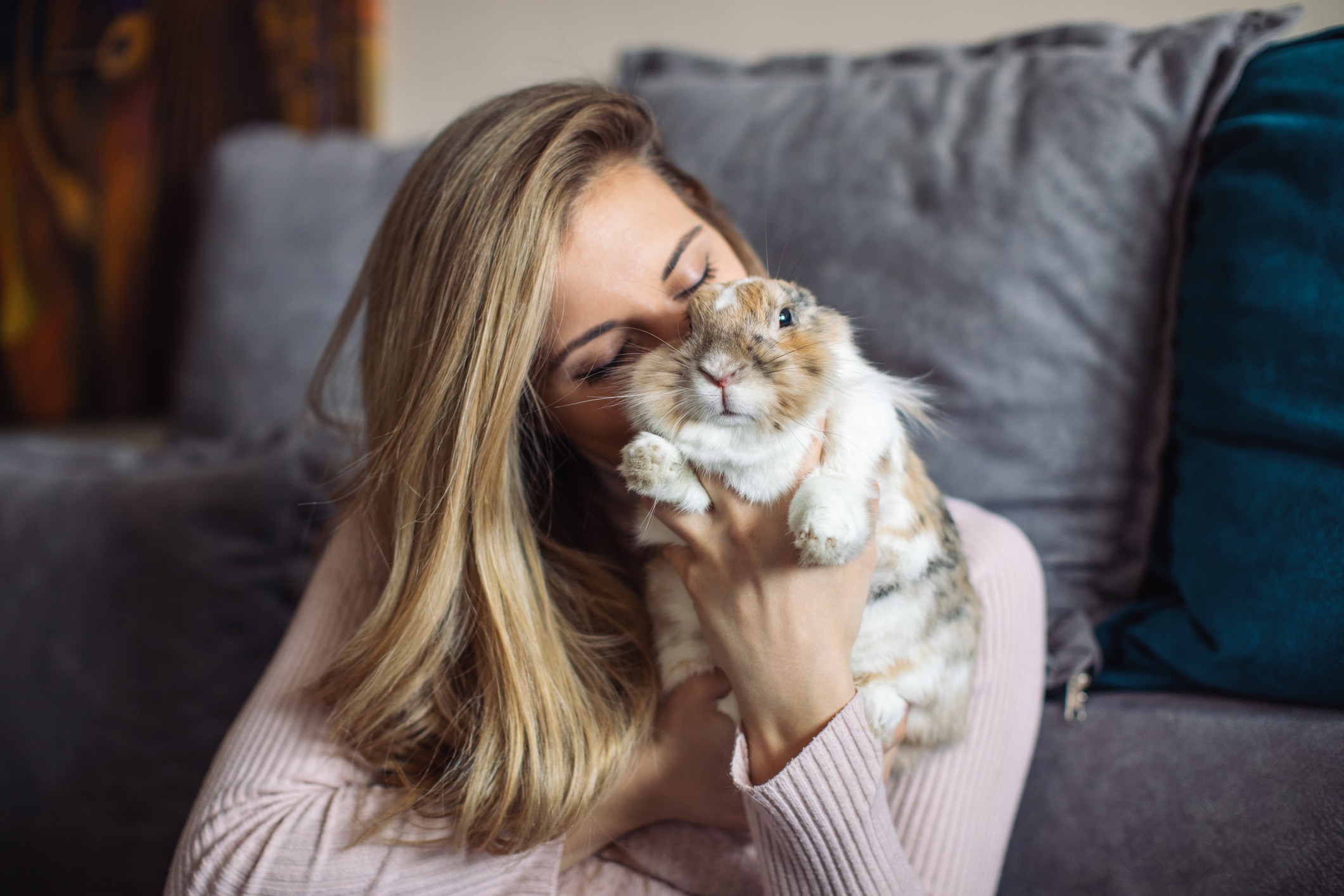 Understanding Rabbit Body Language | Chewy