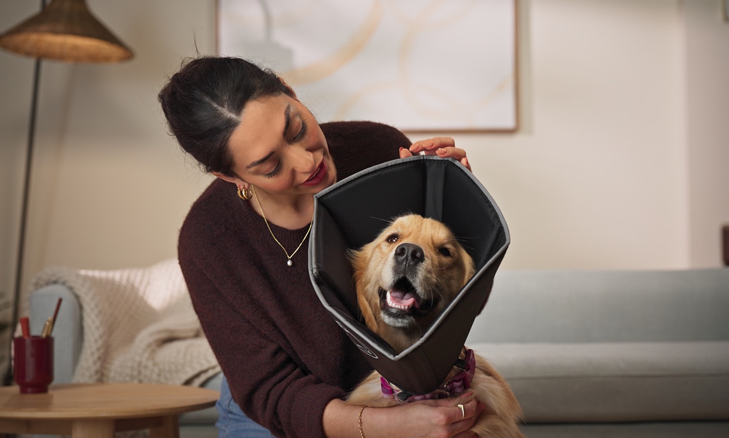 How To Pick the Best Dog Cone for Your Dog | Chewy